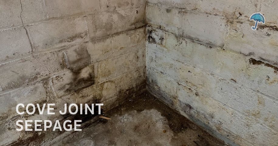 How to Control and Prevent Basement Seepage | Waterproofing NJ