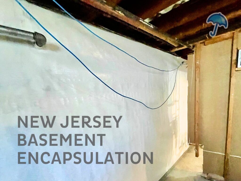 Homeowners' Complete Guide to Basement Waterproofing (2026)