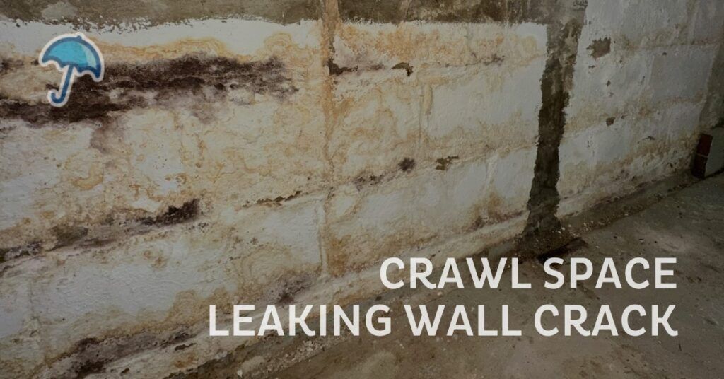 Homeowners' Complete Guide to Crawl Space Encapsulation, Waterproofing ...