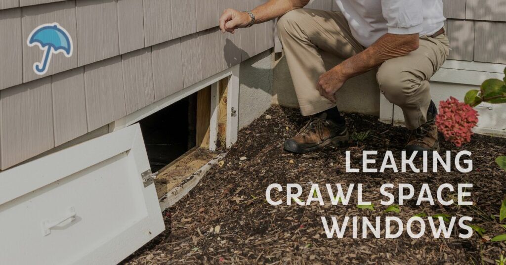 Homeowners' Complete Guide to Crawl Space Encapsulation, Waterproofing ...